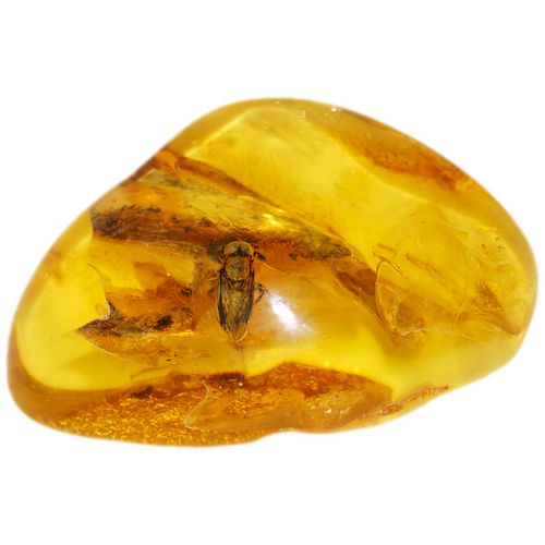 9,85 гр. Самороден кехлибар с фосил от муха - Florinus.bg