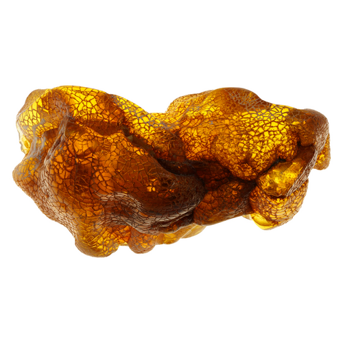 38,45 гр. Самороден кехлибар с фосил - Florinus.bg