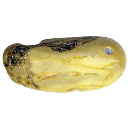 0,85 гр. Самороден кехлибар - Florinus.bg