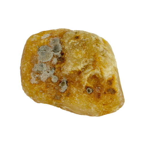 8.15 гр. Самороден морски кехлибар - Florinus.bg