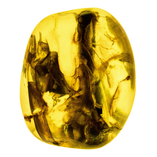 0,85 гр. Самороден кехлибар - FLORINUS