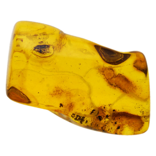 7,85 гр. Самороден кехлибар с фосил - Florinus.bg