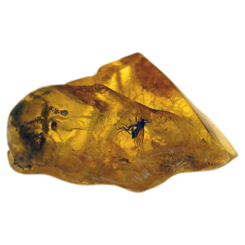 4,25 гр. Самороден кехлибар с фосил - Florinus.bg