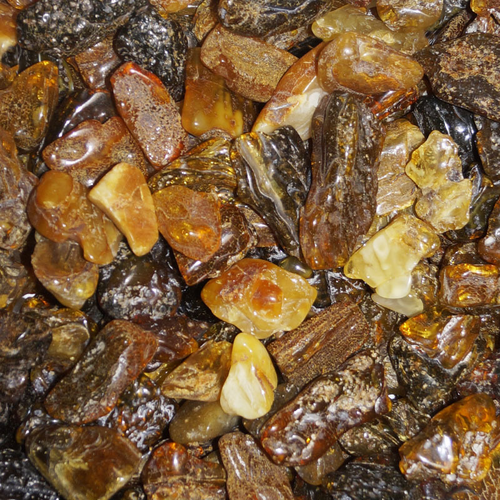 Polished amber 5-10 g! - Florinus.bg