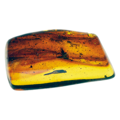 3,70 гр. Самороден кехлибар с фосил - Florinus.bg