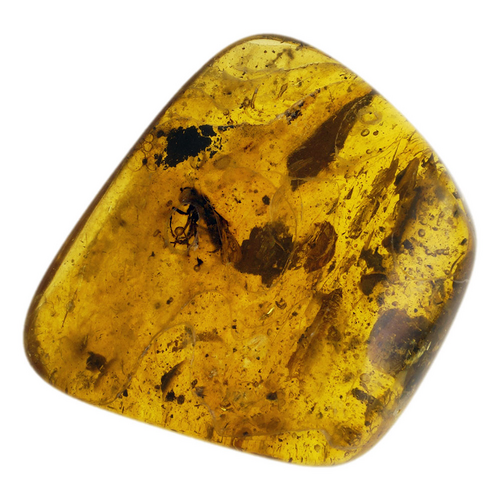 6,85 гр. Самороден кехлибар с фосил - Florinus.bg