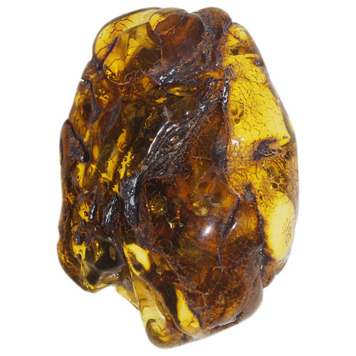 12,30 g Amber nugget - Florinus.bg