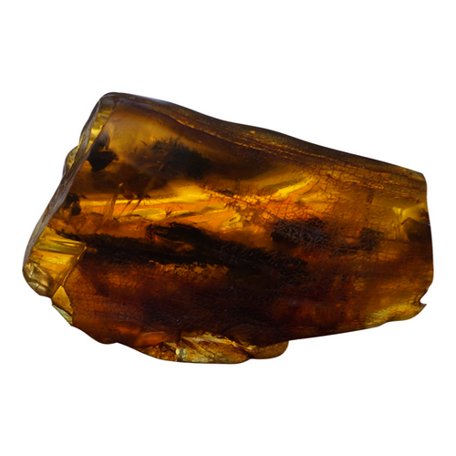 47 гр. Самороден кехлибар с фосил! - Florinus.bg