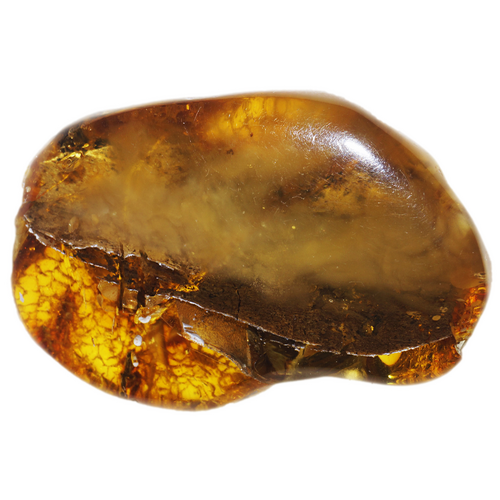 0,85 гр. Самороден кехлибар! - Florinus.bg