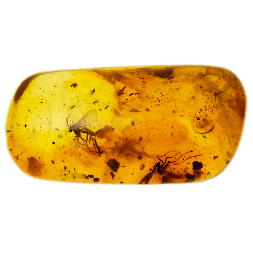 0,85 гр. Самороден кехлибар с фосил! - Florinus.bg