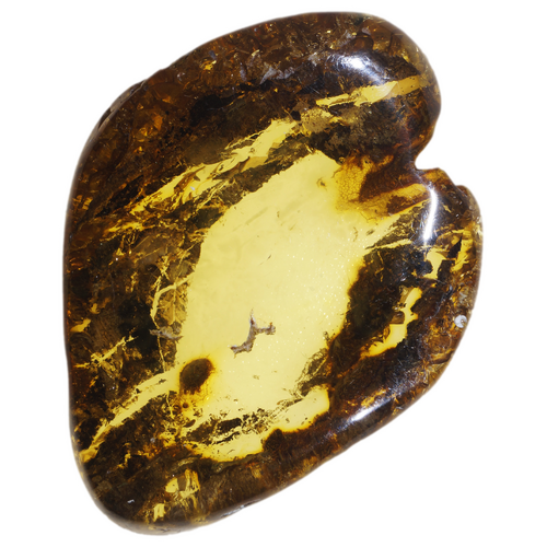 12,25 g. Amber nugget! - Florinus.bg